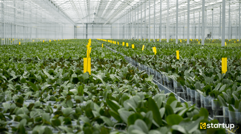 Horticulture Farming in India Archives | E-Startup India